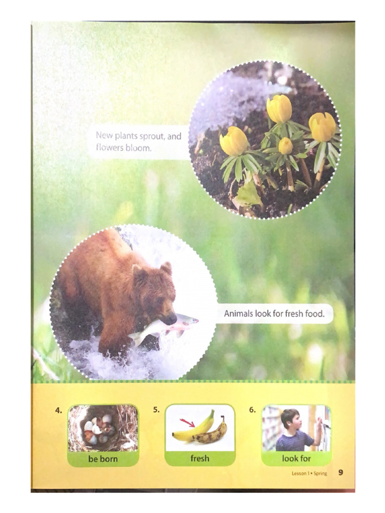 New Plants Sprout, and | PDF