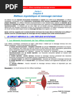 Le Syndrome Frontal | PDF | Cortex préfrontal | Neuroscience