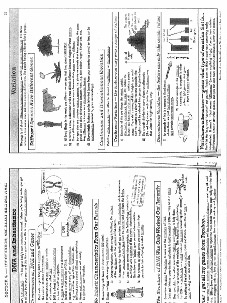 Ks3 Science Cgp Revision And Questions Section 4 Inheritance Variation