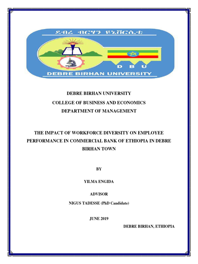 Yilma Thesis Final Draft | PDF | Diversity (Business) | Statistics
