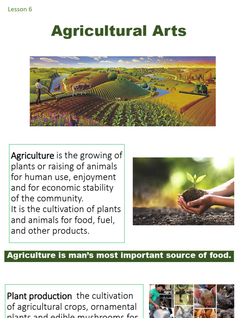 Lesson 6 Intro To Agri | PDF | Agriculture | Soil