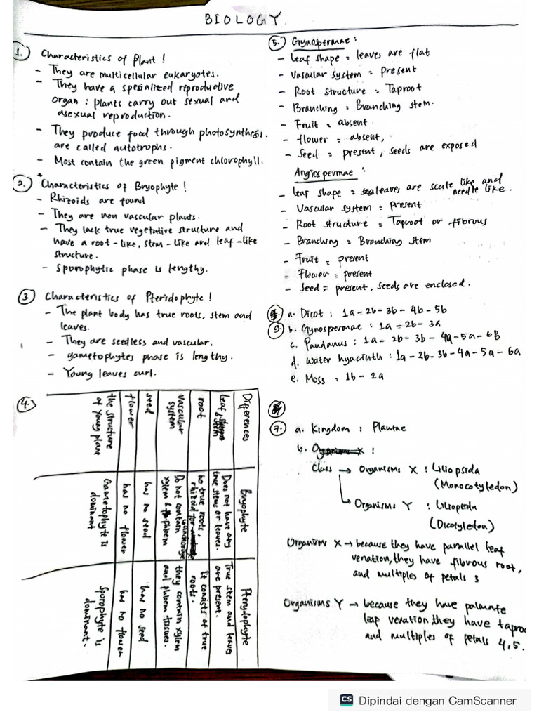 G7 Biling Biology Plant | PDF
