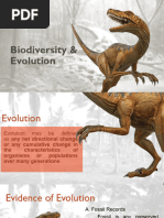 Notes On Evolution | PDF