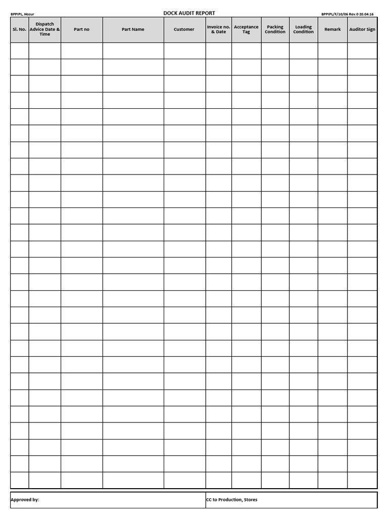 Dock Audit Format | PDF