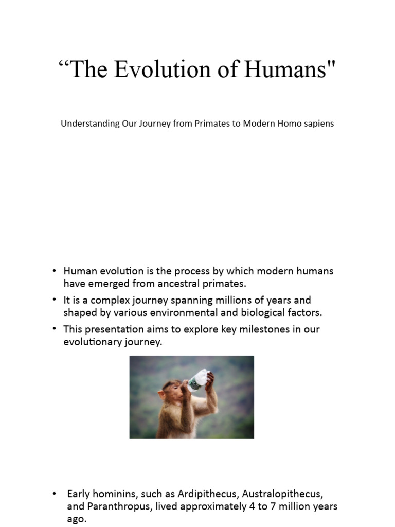Evolution of Humans | PDF