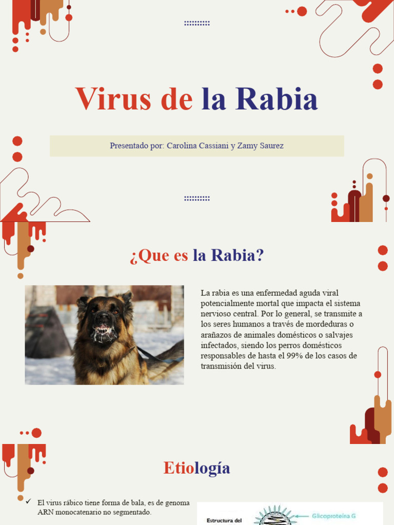 Rabia: Virus, Transmisión y Control | PDF | Rabia | Virus