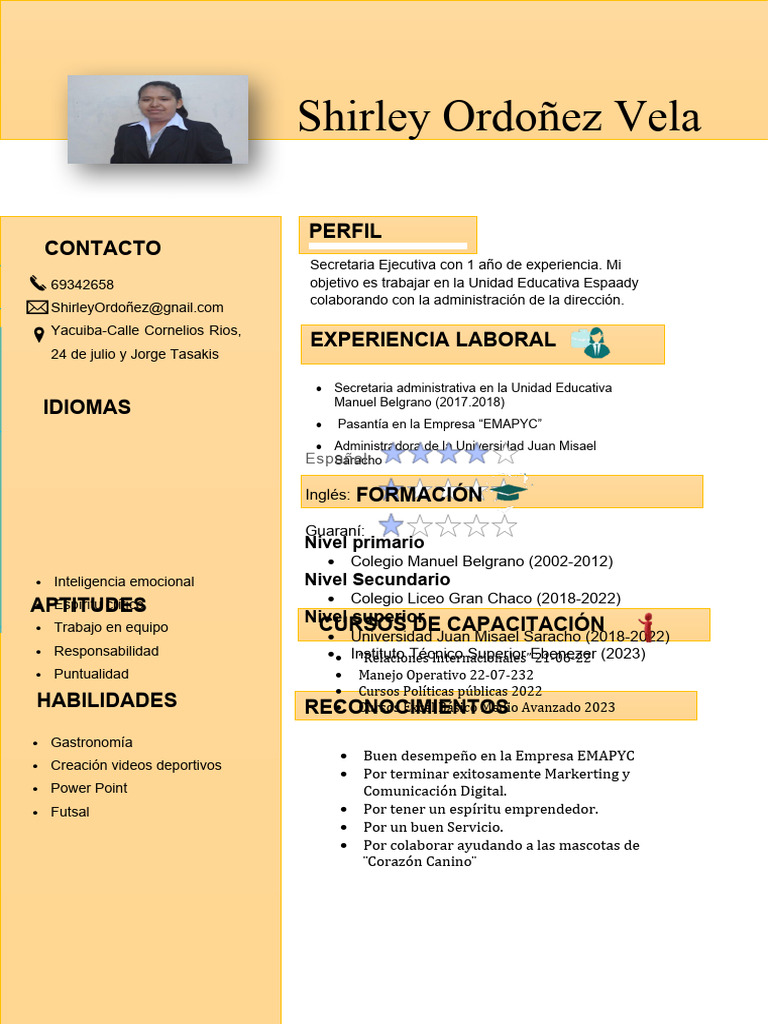 233 Curriculum Vitae Profesional para Trabajo | PDF
