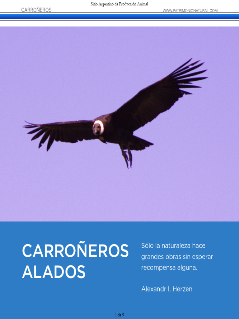 Carroñeros: Aves Limpiadoras de Ecosistemas | PDF | Ciencia y matemáticas