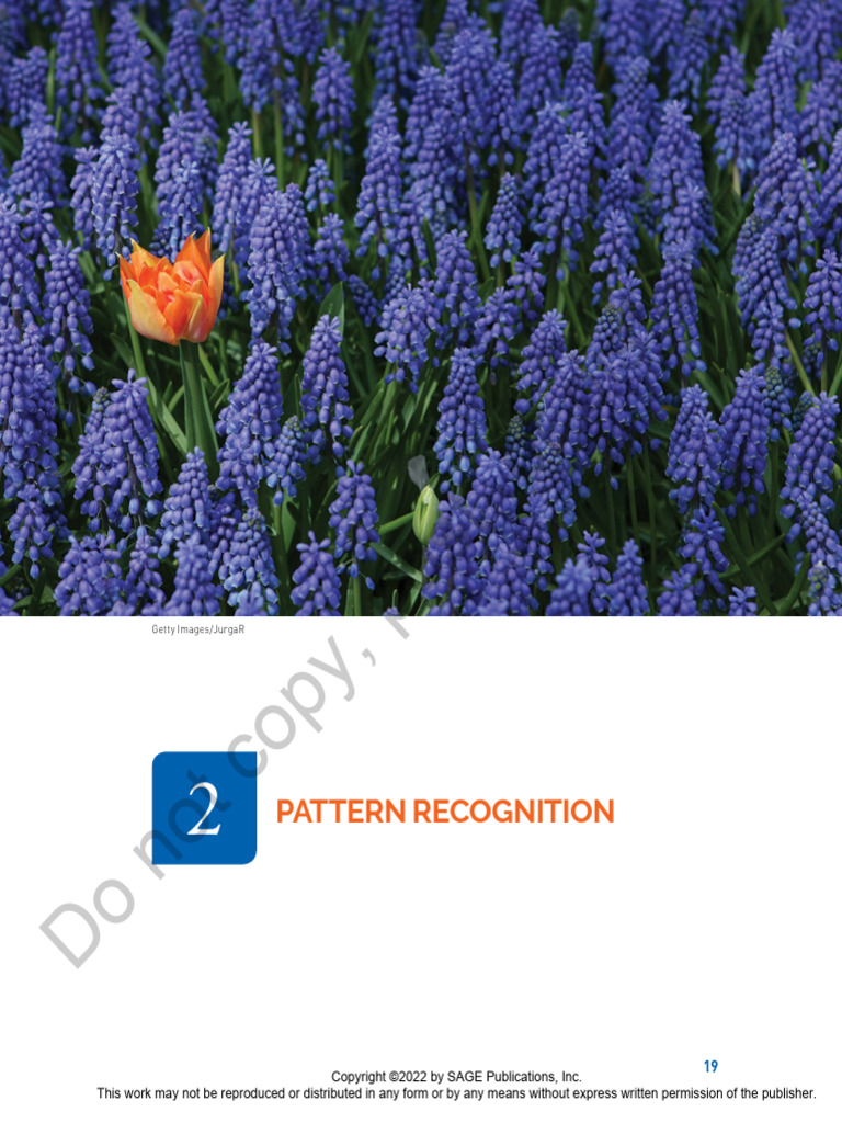 Pattern Recognition | PDF | Perception | Attention