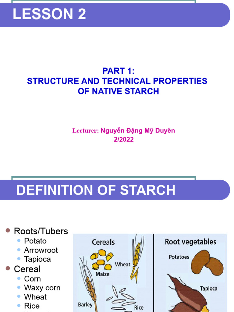 Lesson 2 Structure and Properties of Starch | PDF | Starch | Ester