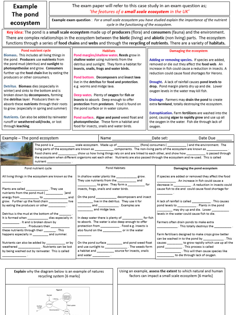 Y9 Case Study Revision Cards and Homeworks | PDF | River | Stream