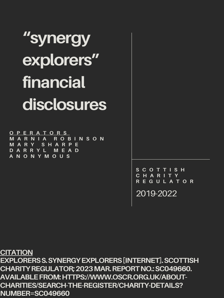Synergy Explorers Charity Financial Report | PDF | Charitable ...