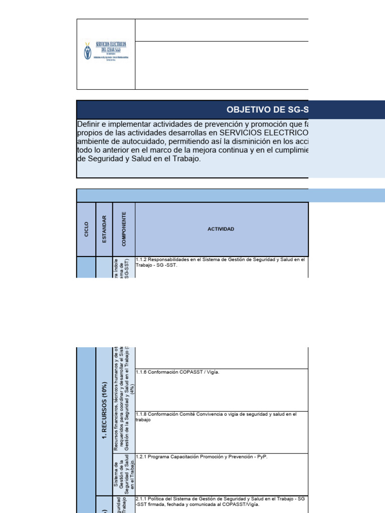 Plan de Trabajo SST 2024 | PDF | Auditoría