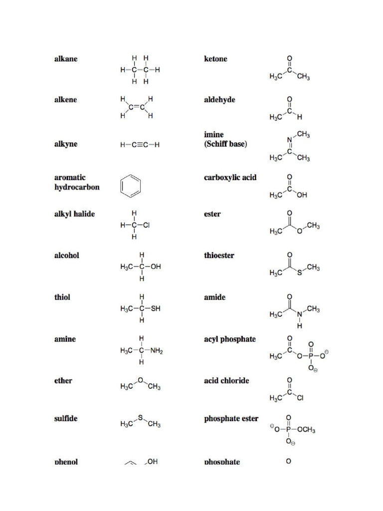 BIOCHEM | PDF