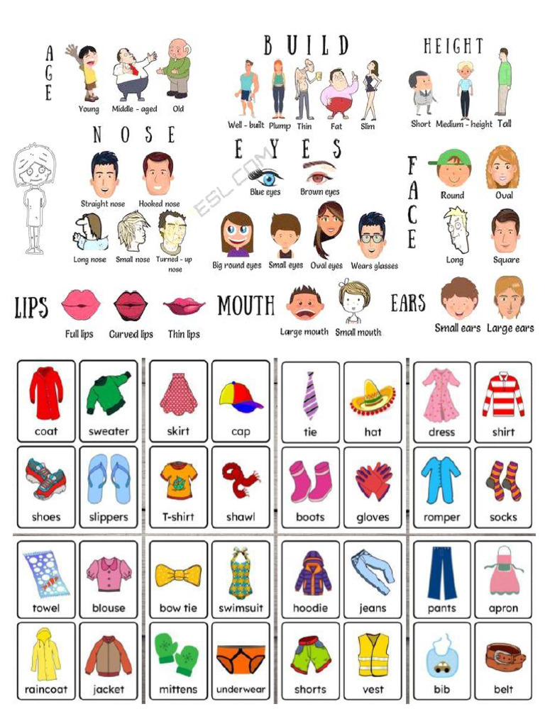 Appearance & Personality | PDF