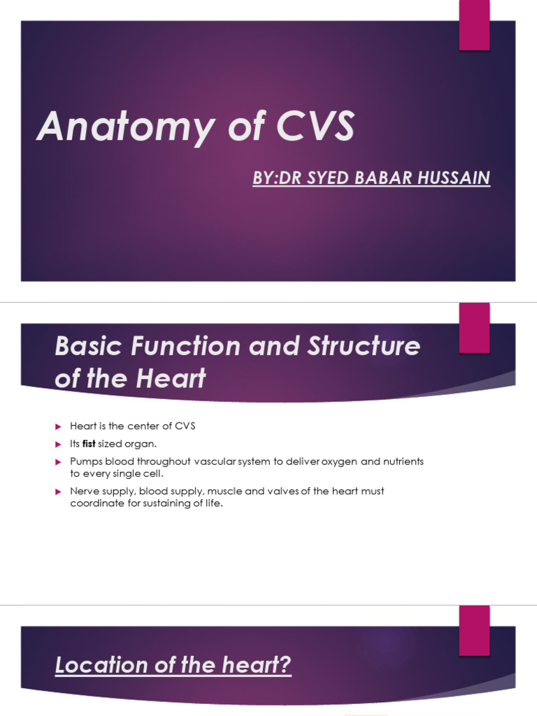 Anatomy of CVS: By:Dr Syed Babar Hussain | PDF | Heart Valve | Heart