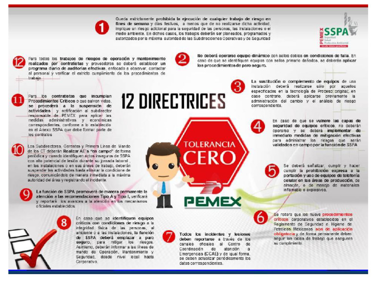 12 Directrices Sspa | PDF
