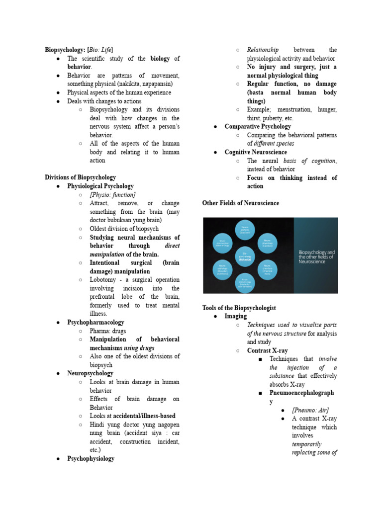 BIOPSYCH-REVIEWER | PDF | Visual System | Neuron
