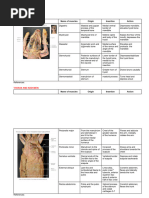 Muscle OIA: Chest, Neck, Back, Thigh | PDF | Vertebral Column | Vertebra