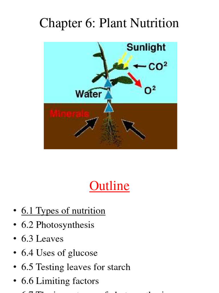 Chapter 6 - Plant Nutrition | PDF
