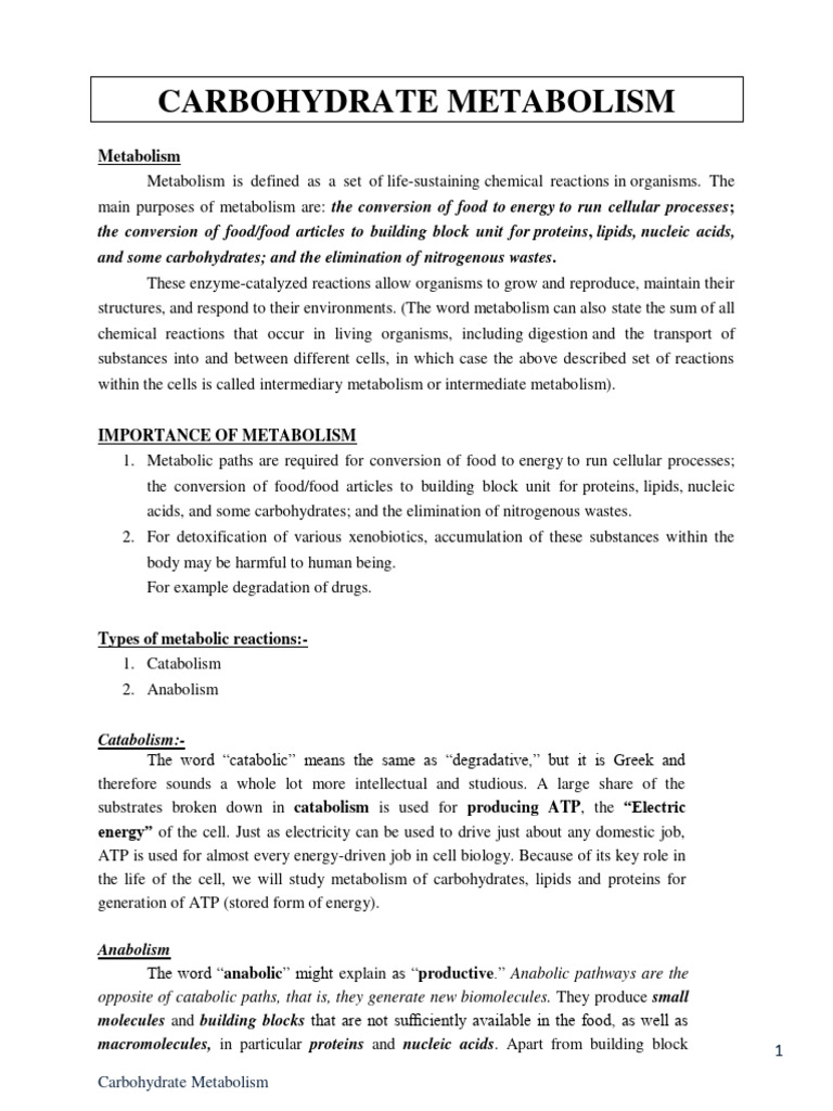 Carbohydrates Metabolism Notes | PDF | Glycolysis | Diet & Nutrition