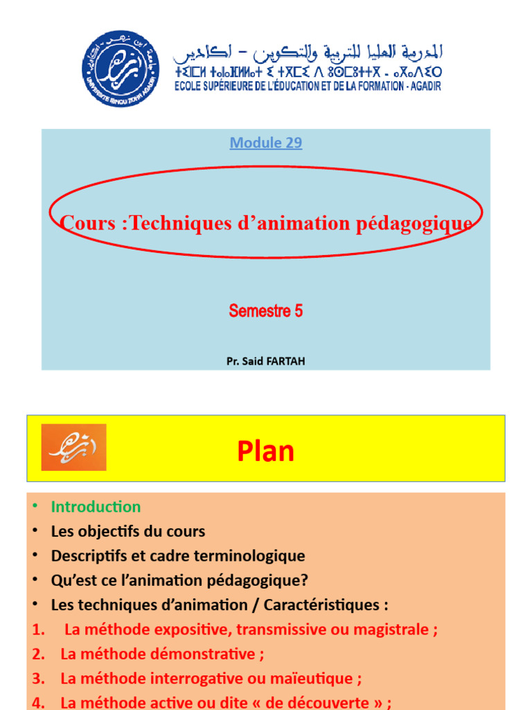 Technique D'animation | PDF | Réflexion | Pédagogie