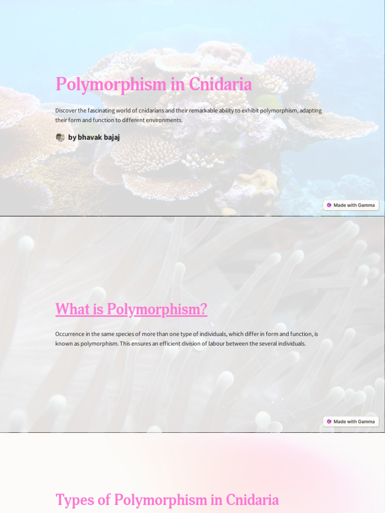 Polymorphism in Cnidaria | Download Free PDF | Polymorphism (Biology ...
