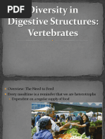 Digestive System of Goats | PDF | Ruminant | Digestion