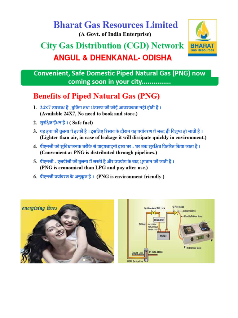 PNG_Pamphlet | PDF | Natural Gas | Fuel Gas