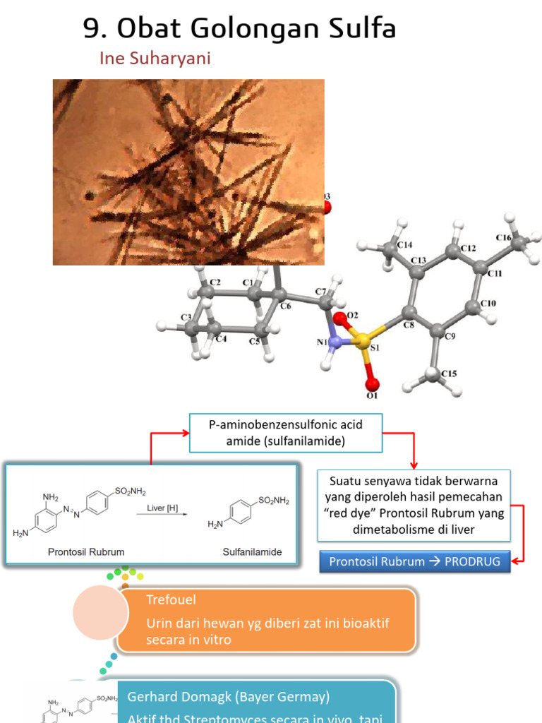 Obat Golongan Sulfa | PDF
