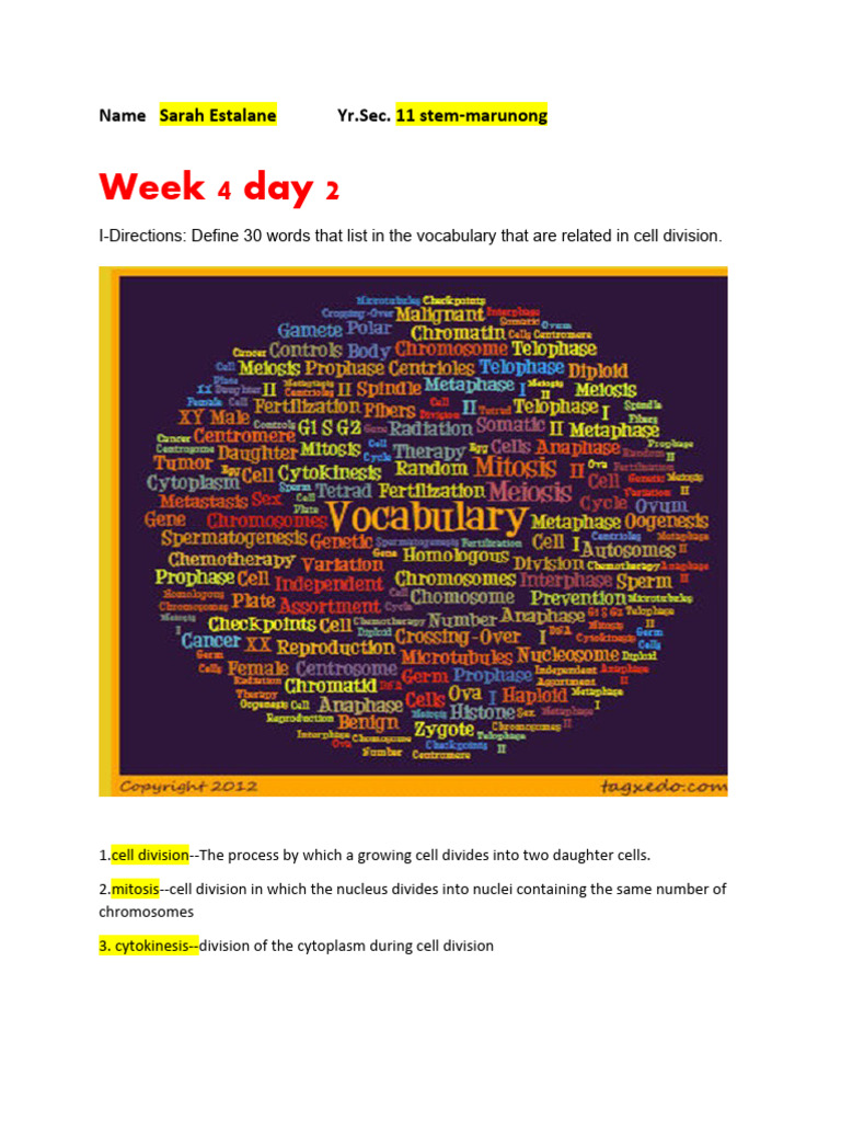 Cell Division Vocabulary Guide | PDF | Chromosome | Meiosis