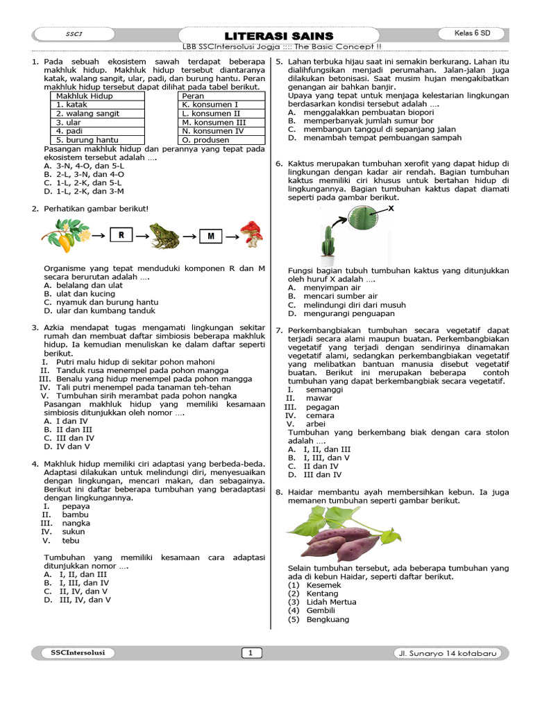 Literasi Sains - Layout | PDF