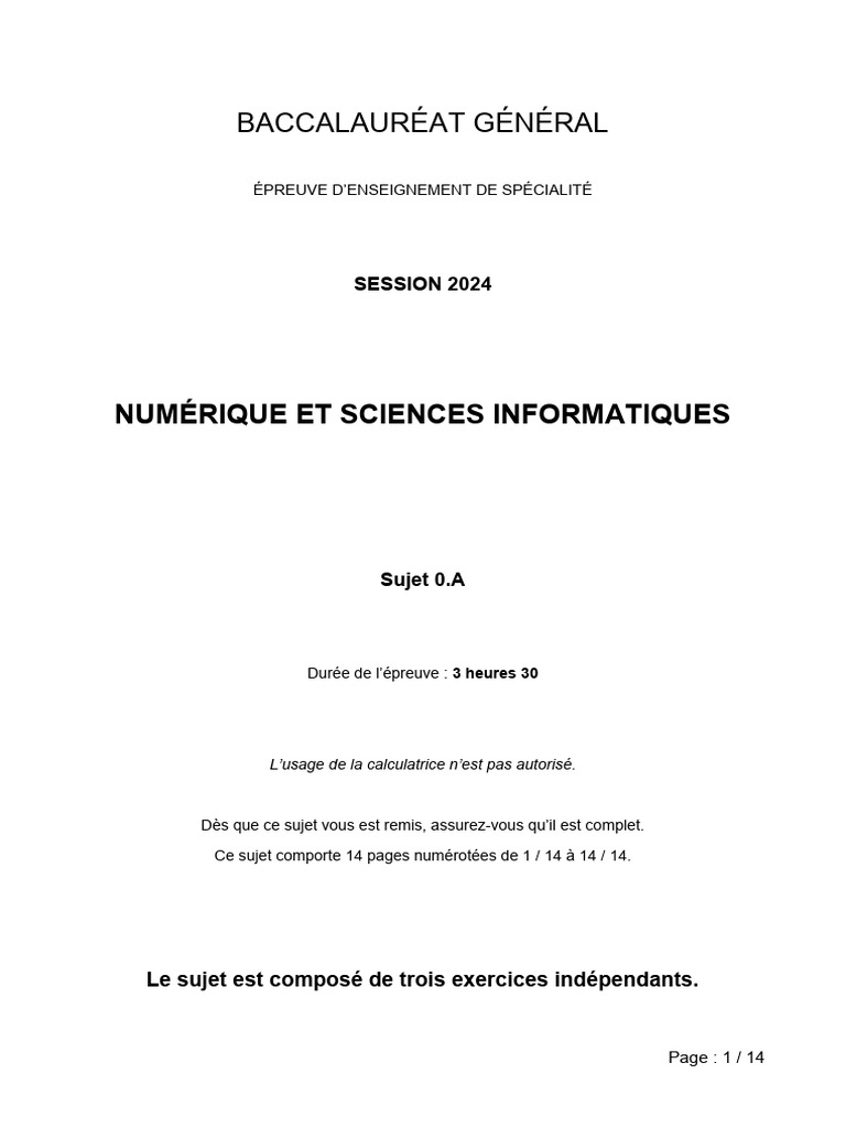 Bac Nsi 2024 Sujet0a | PDF