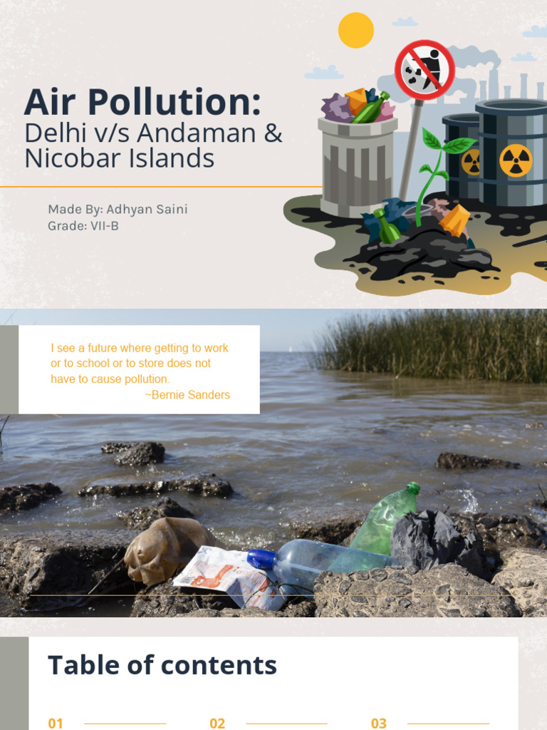 Ail Project Adhyan Saini Vii B | PDF | Atmosphere Of Earth | Air Pollution