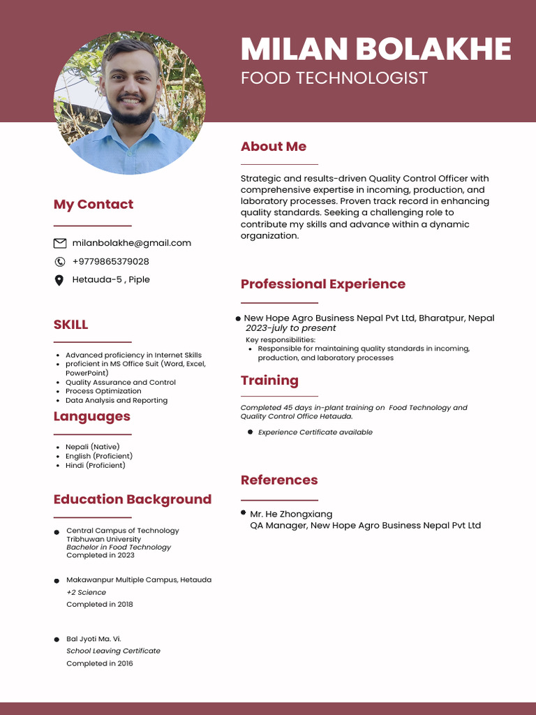 CV 1 | PDF | Business | Technology & Engineering