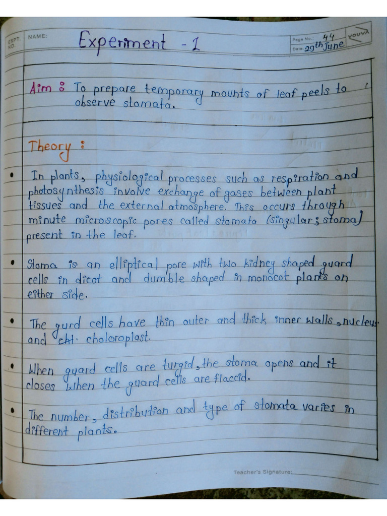 Biology | PDF