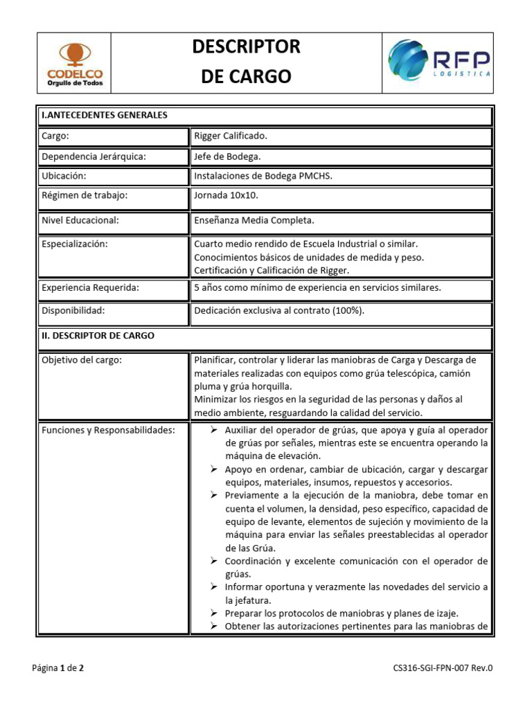 Perfil de Cargo | PDF