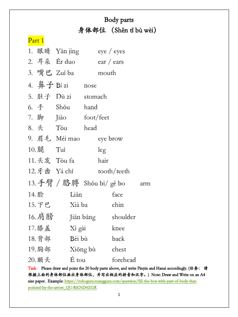 Body parts in Mandarin | PDF