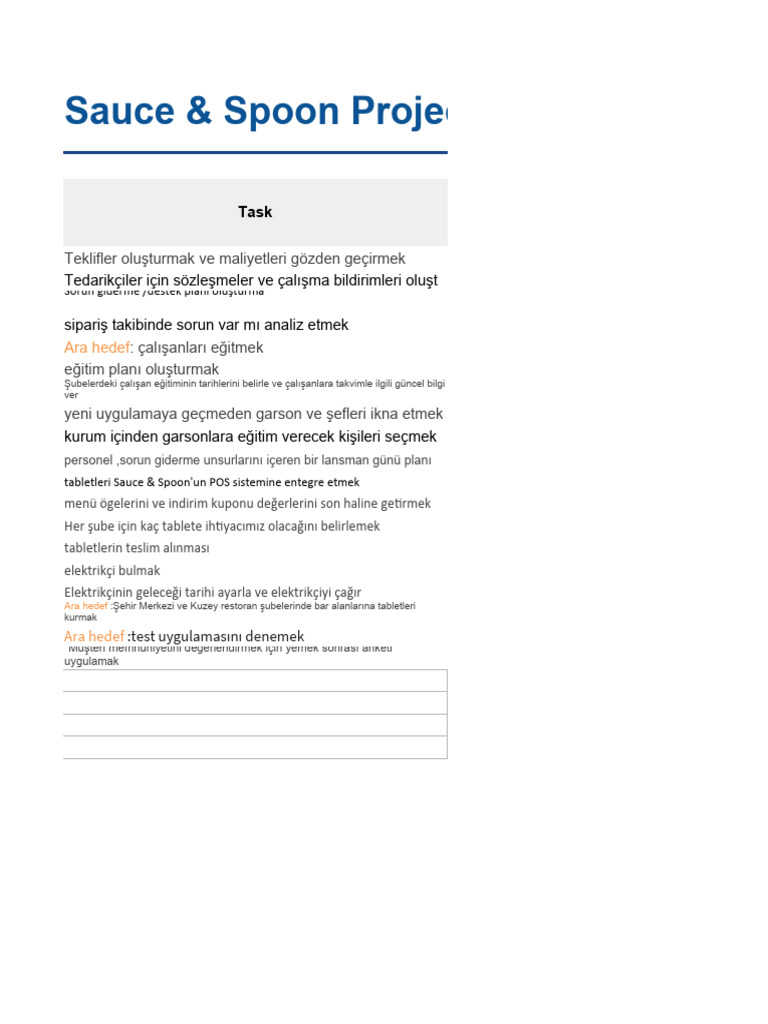 Activity Template - Project Plan | PDF