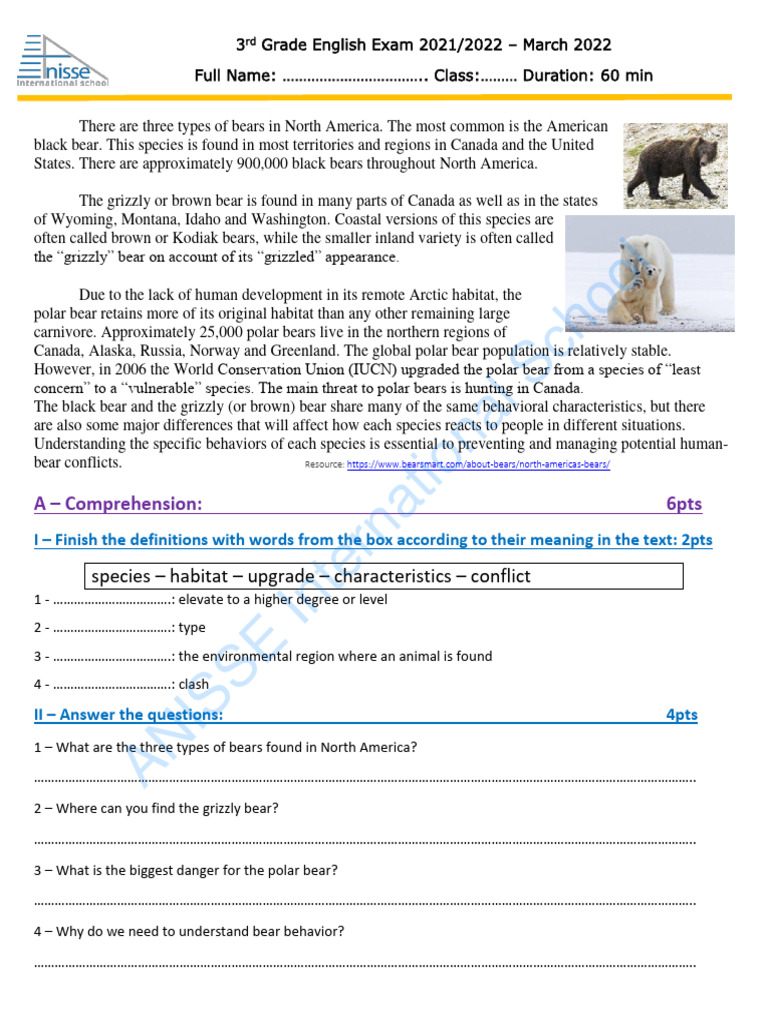 3rd Grade English Exam on North American Bears | PDF | Grizzly Bear ...