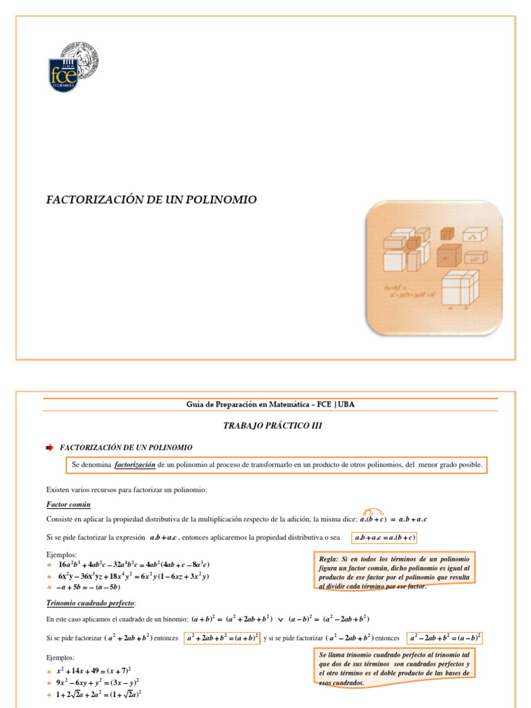 Guía de Factorización de Polinomios | PDF | Factorización | Algoritmos