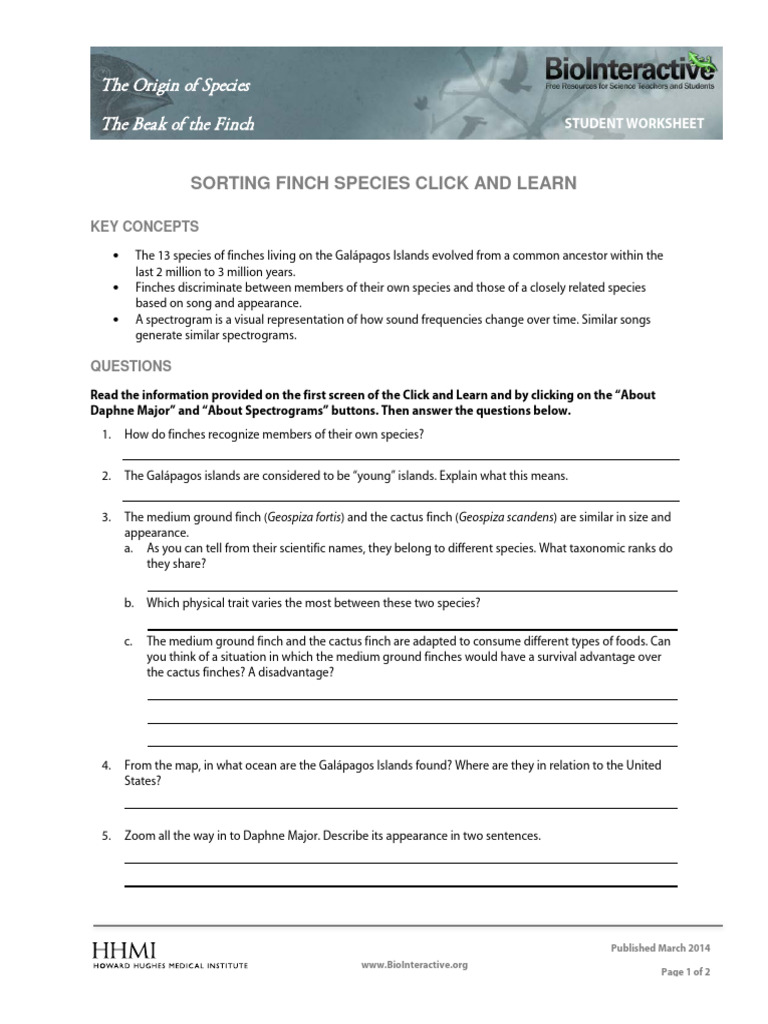 Galápagos Finch Species Worksheet | PDF | Biology | Evolutionary Biology