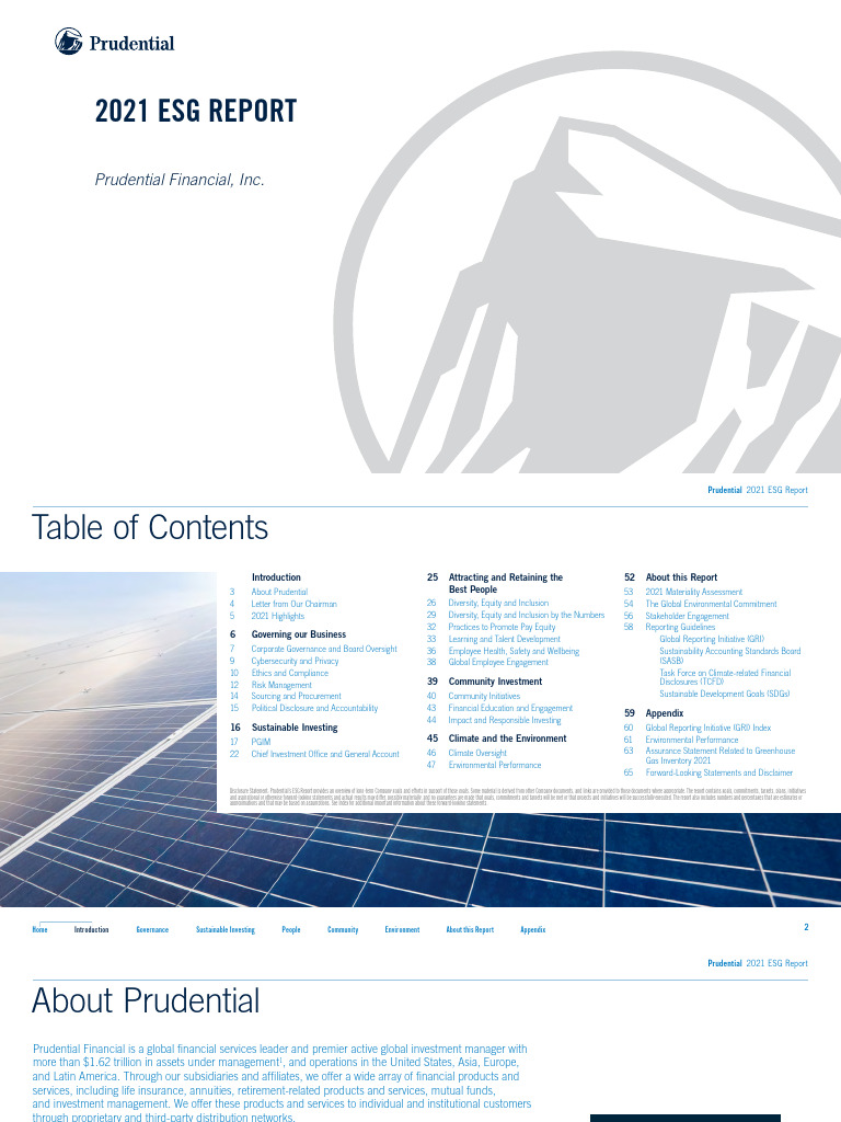 Pru Esg21 240316 203459 | PDF | Computer Security | Security