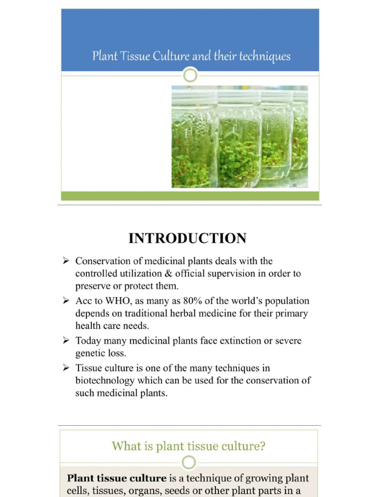 Plant Tissue Culture | PDF