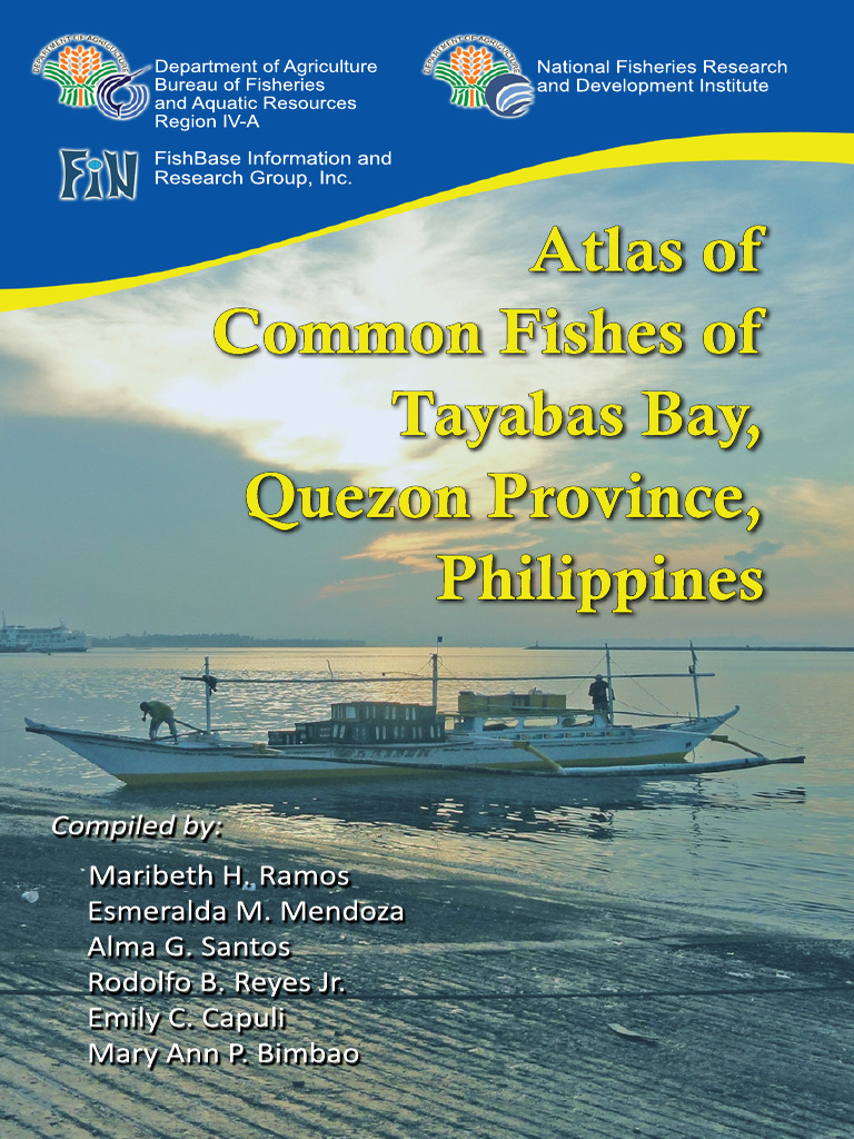 Fishes of Tayabas Bay | PDF