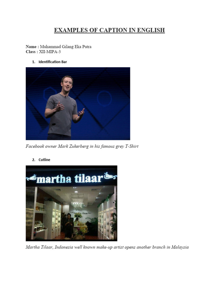 Examples of 6 Types of Caption | PDF