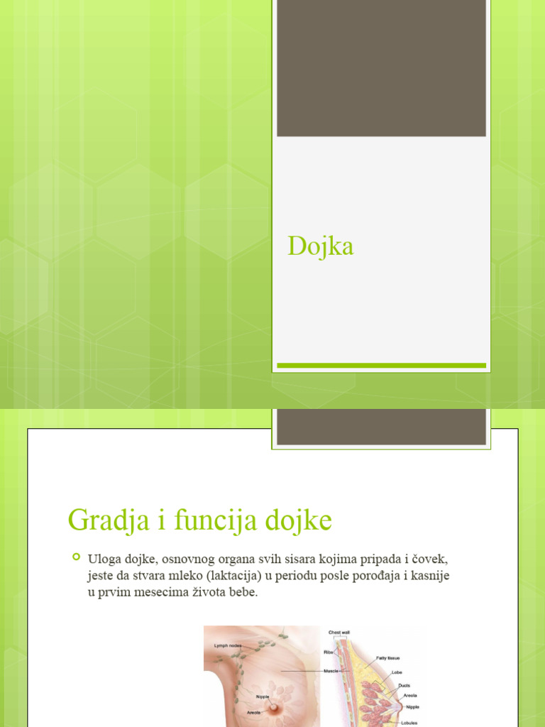 Dojka Prezentacija - Tijana Djorjevic | PDF