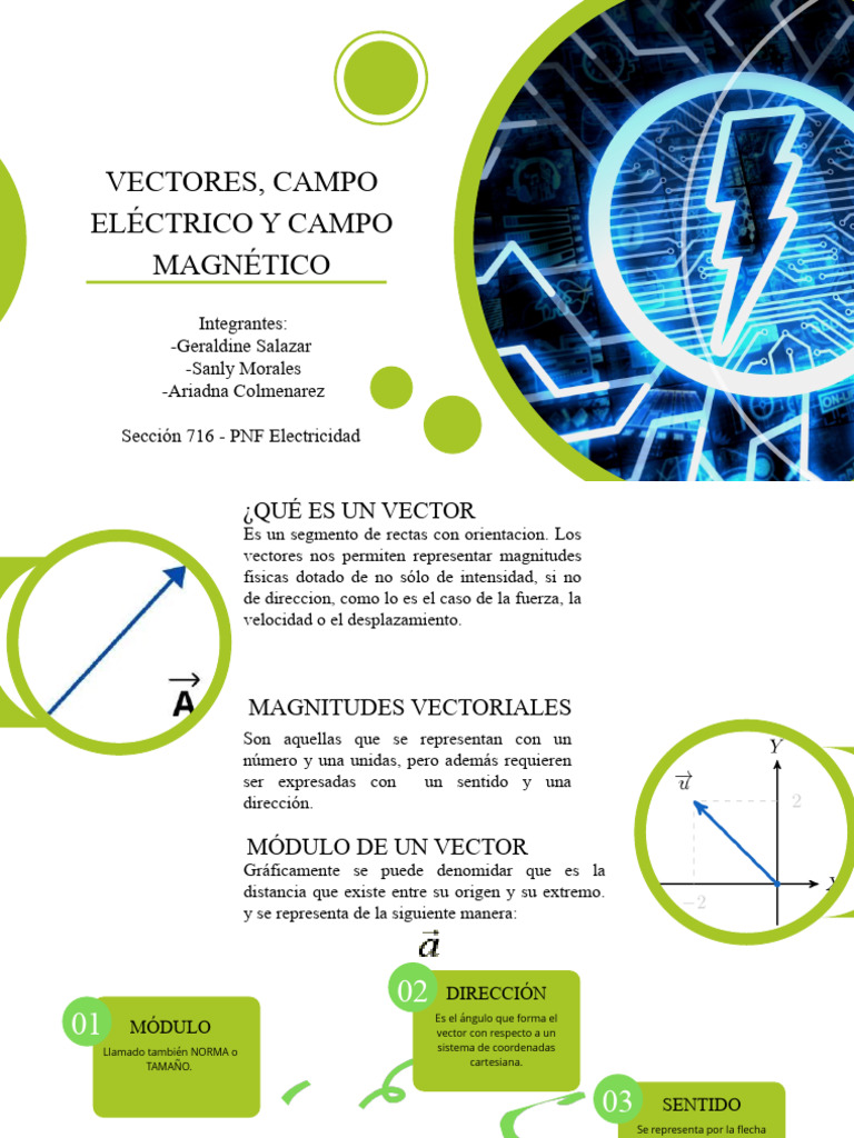 Vectores, campo eléctrico, campo magnético | PDF | Vector Euclidiano ...