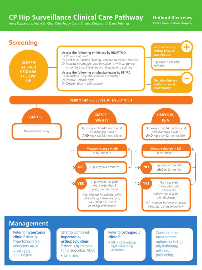 Hip Surveillance Pathway | Download Free PDF | Anatomical Terms Of ...