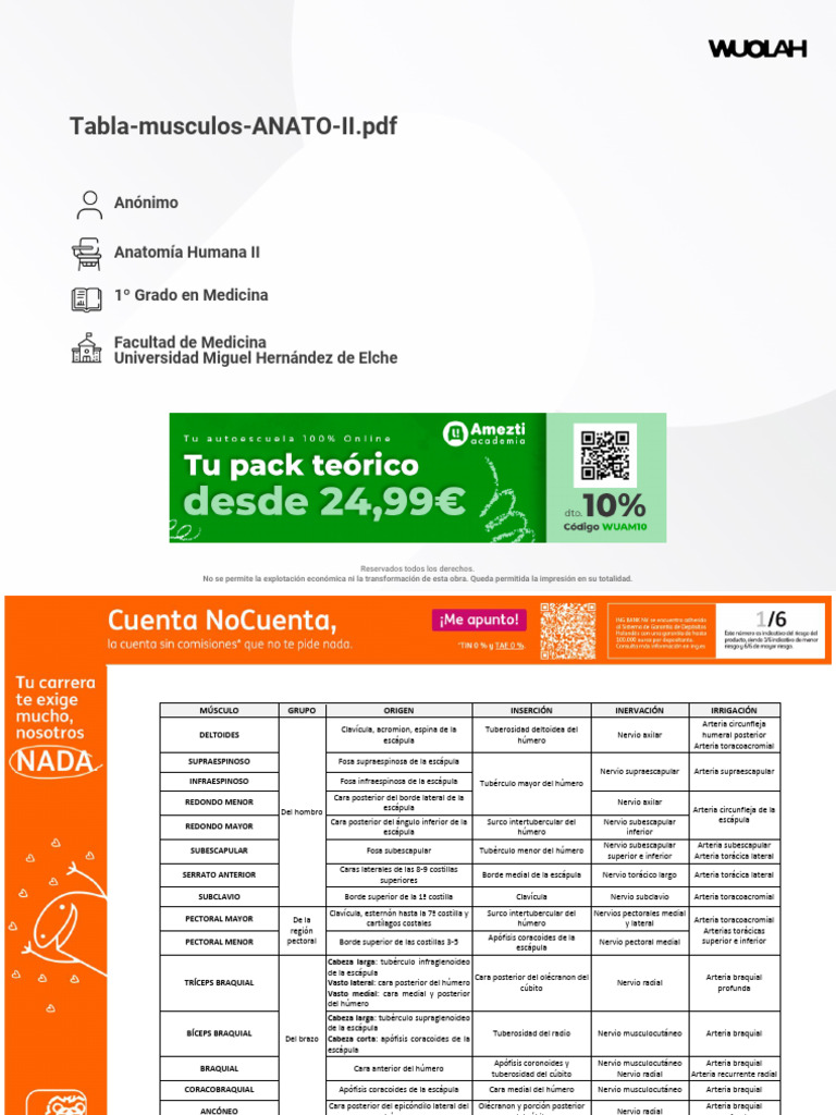 Wuolah Free Tabla Musculos ANATO II | PDF | Extremidades (anatomía) | Sistema musculoesquelético